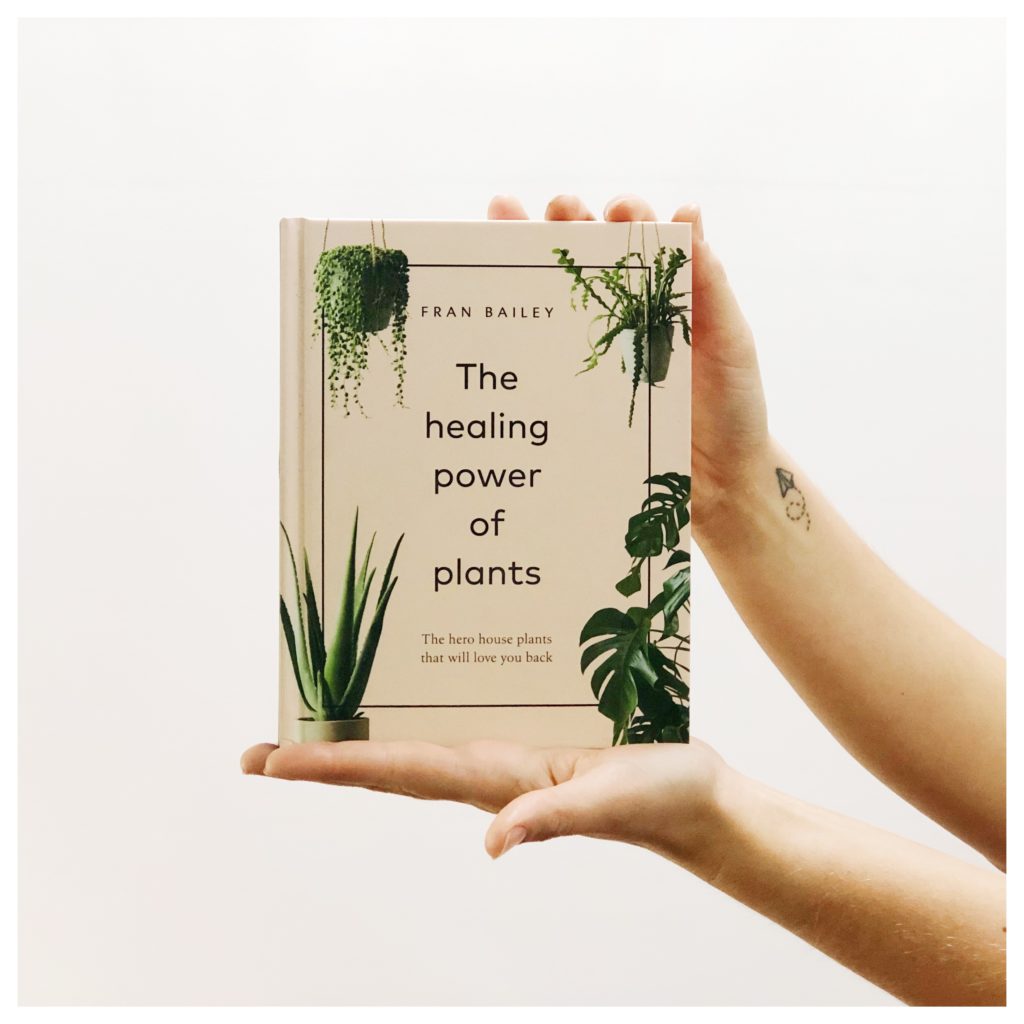 The Healing Power of Plants - Greenbunch